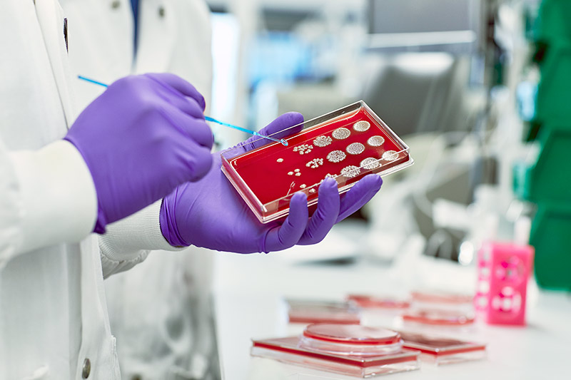 Products - Vaccines, Specialty and General Medicines | GSK India