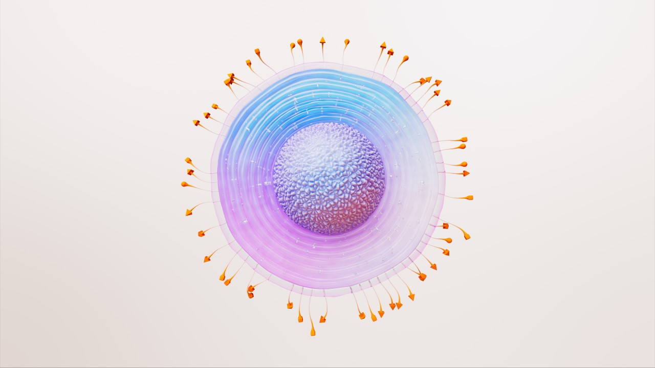 Purpose, strategy and culture | GSK India