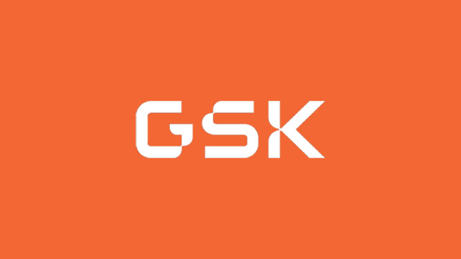 In focus | GSK India